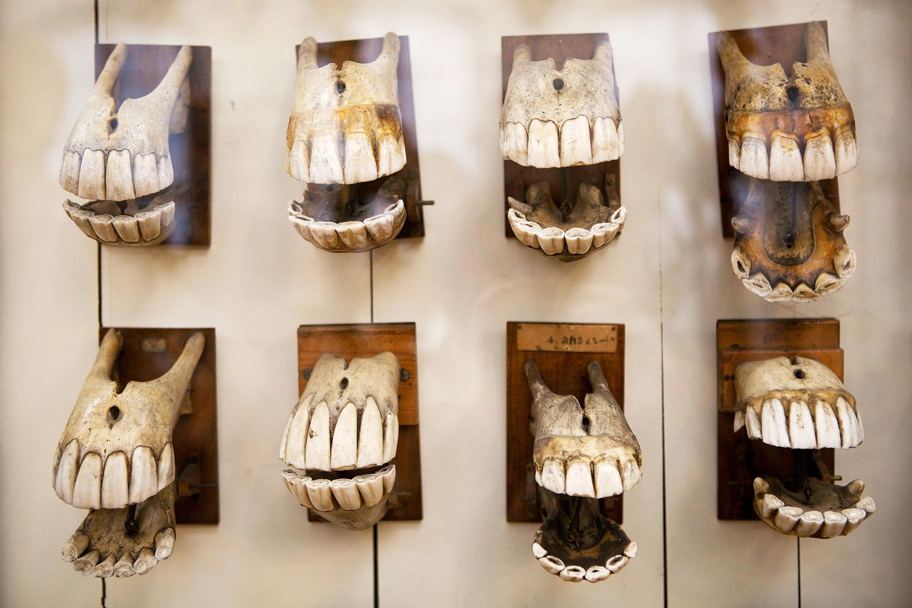 11 Unusual Museums You Didn’t Know Existed – Fodors Travel Guide