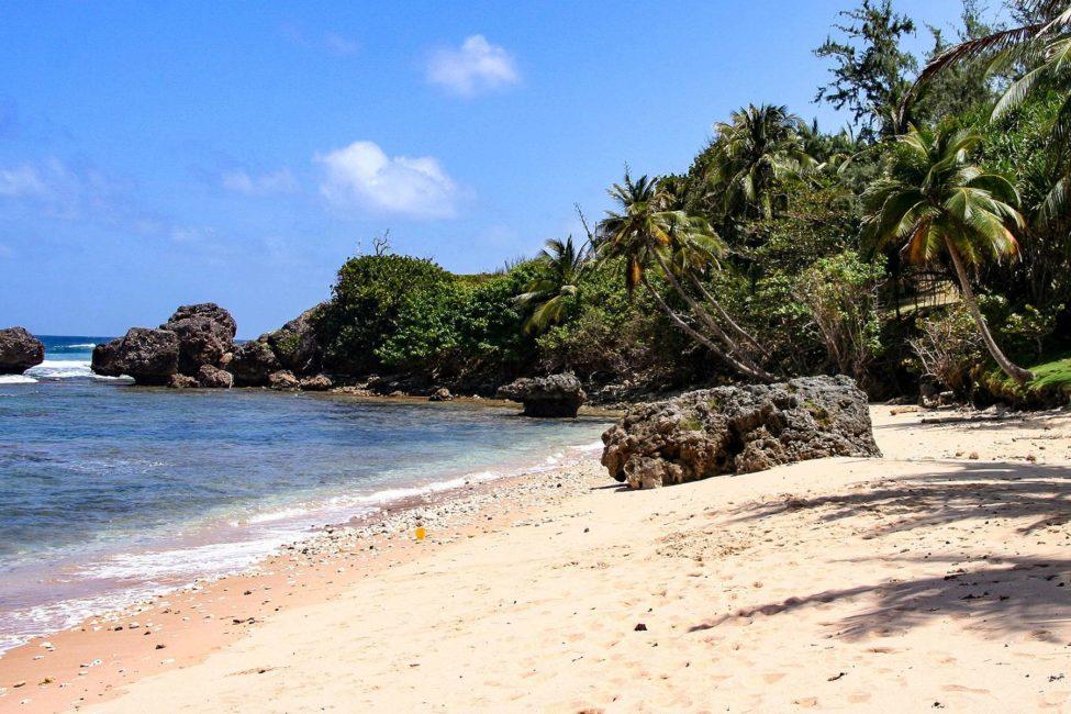 25 Ultimate Things to Do in Barbados – Fodors Travel Guide