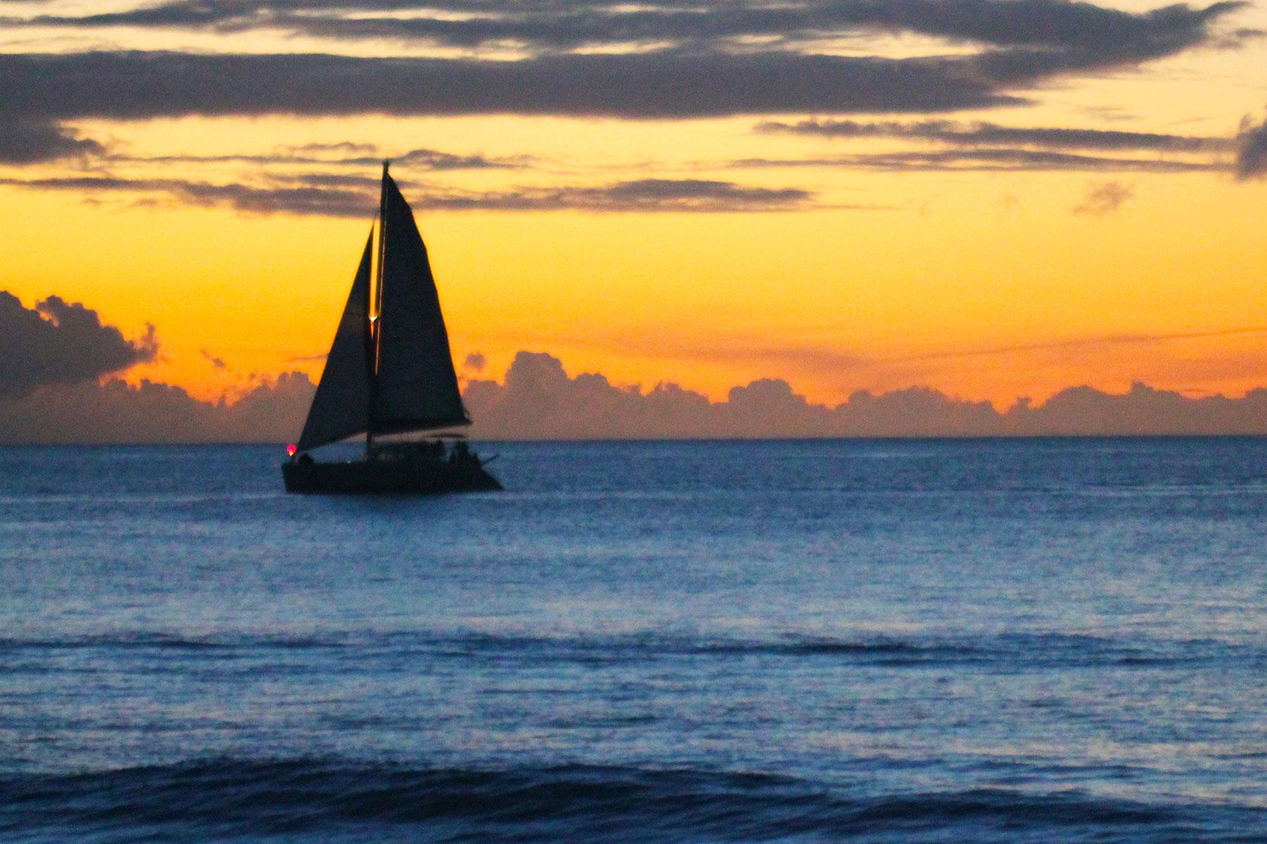 25 Ultimate Things to Do in Barbados – Fodors Travel Guide