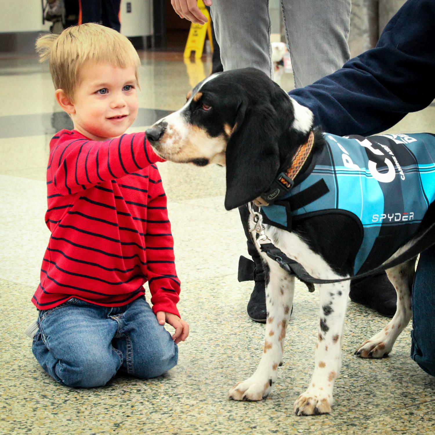 Airports With Therapy Dogs