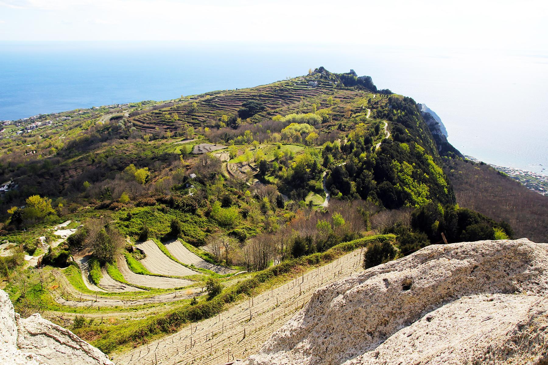 10 Reasons to Visit Italy's Beautiful Island Ischia (and Skip Capri!)