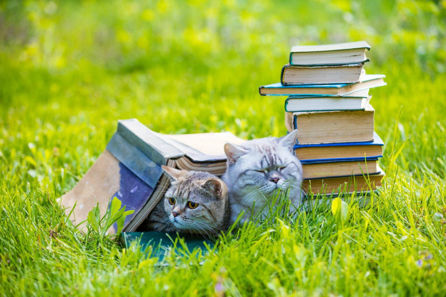 The 22 Best Books To Read Summer Of 2018 the-22-best-books-to-read-summer-of-2018