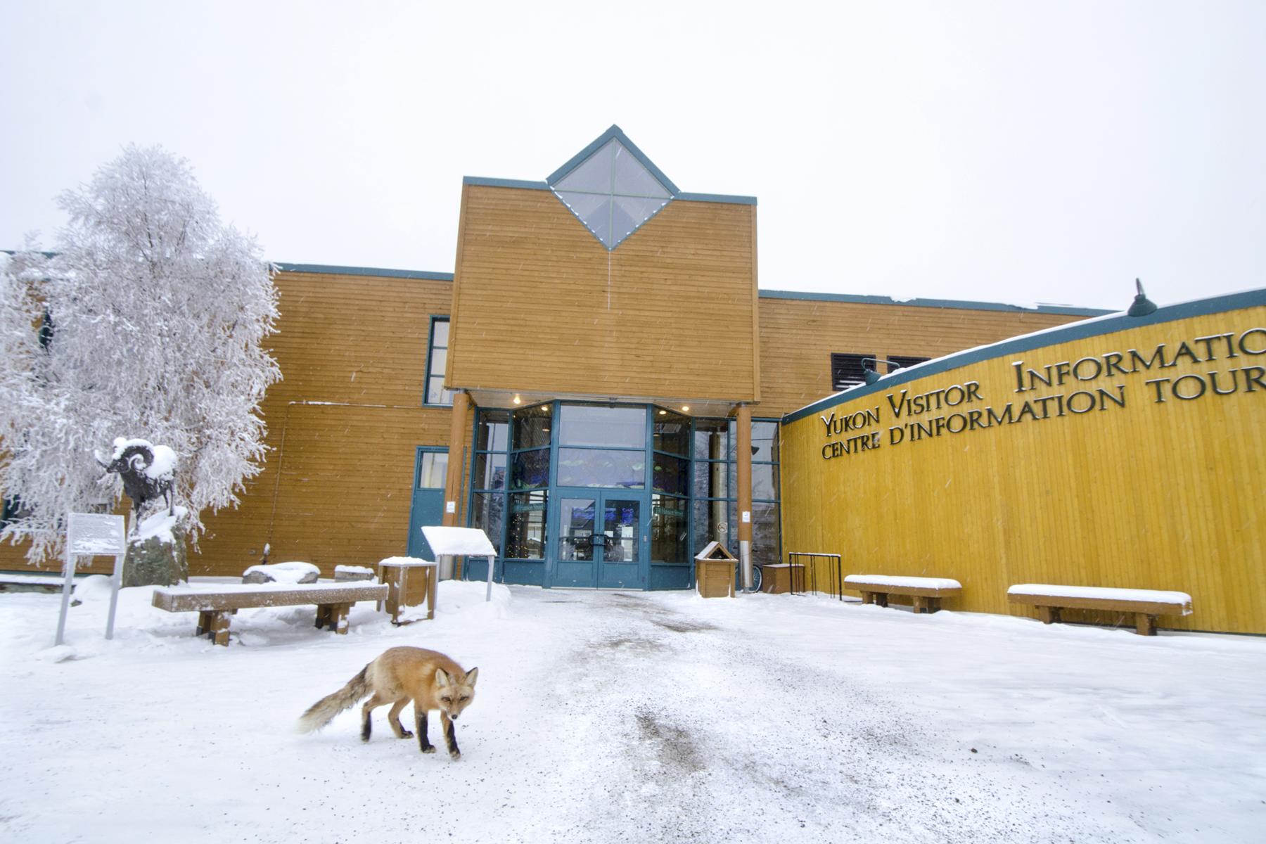 What to Do and See in Canada's Yukon Territory