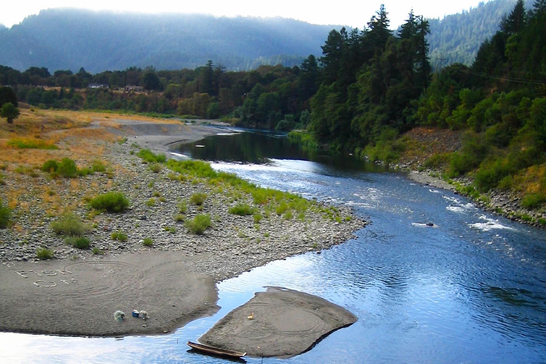 Searching for Sasquatch: 10 Places in Northern California to Spot Bigfoot