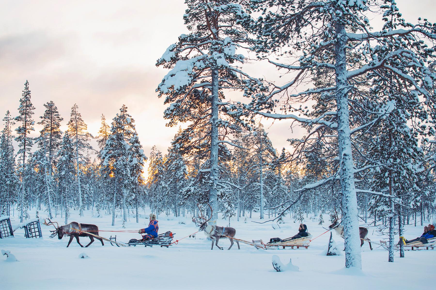 Unusual, Incredible and Exclusive Amenities Offered by Hotels