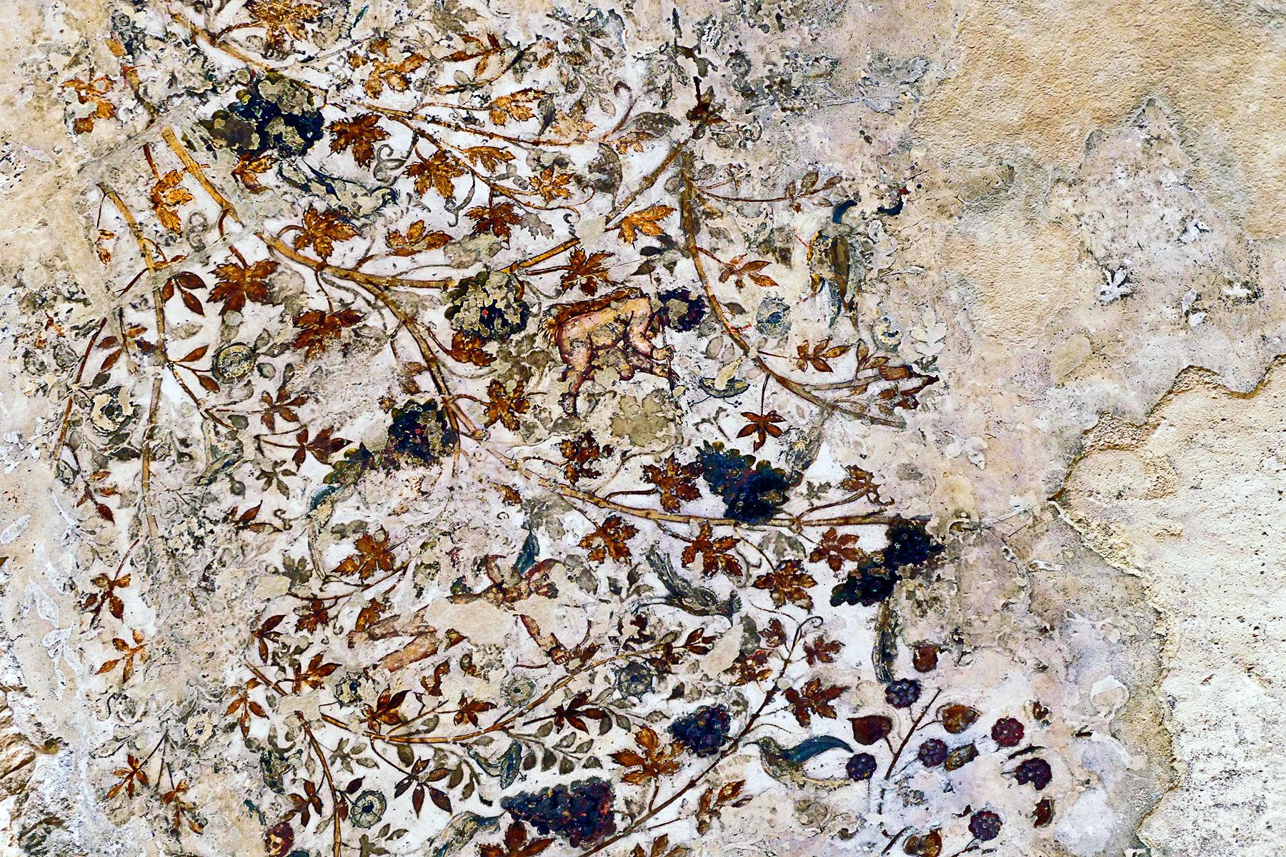 Petra 101: Everything You Need to Know Before You Go