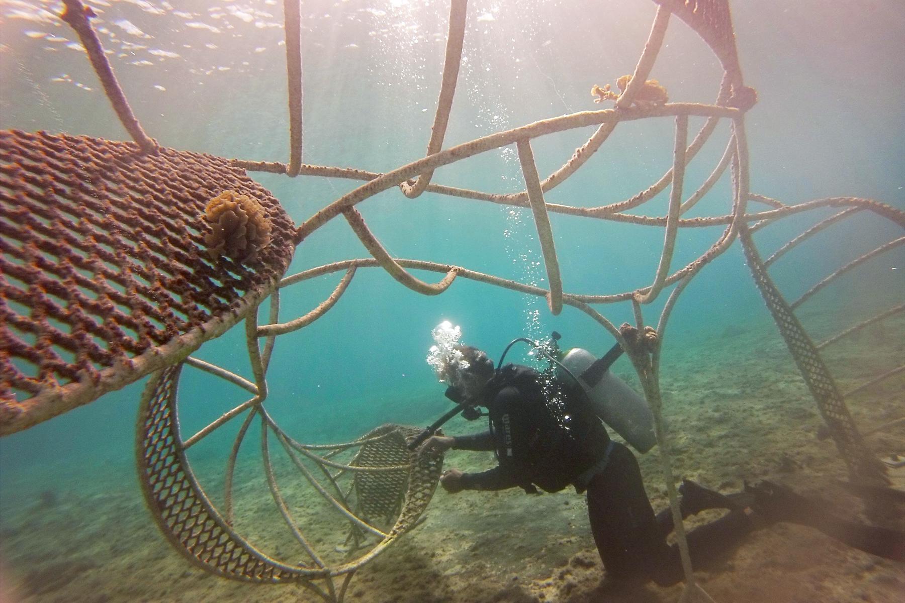 Underwater Art Exhibits and Museums You Can Scuba Dive to