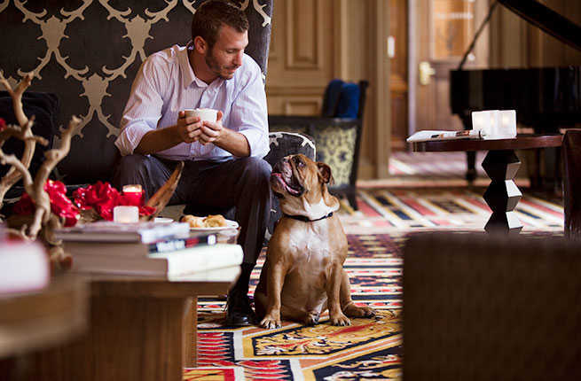 The 7 Best Pet-Friendly Hotel Chains – Fodors Travel Guide