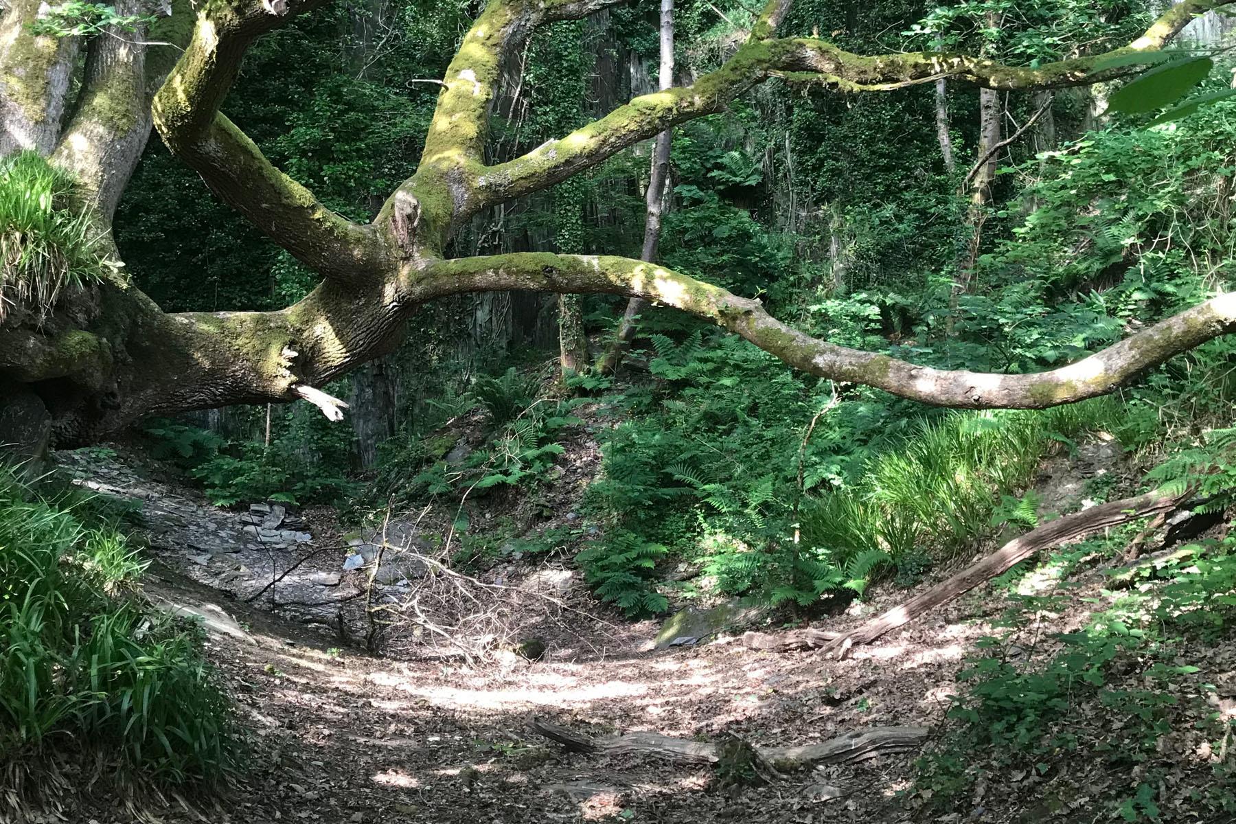 Take Photos of These Beautiful Sights in Wales