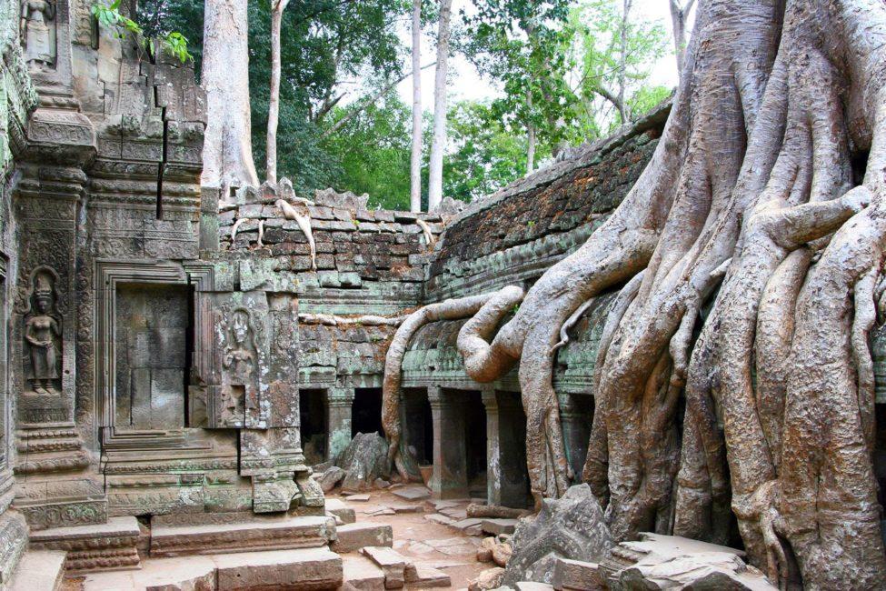 The Ultimate Guide to Angkor Wat Temple Complex in Cambodia