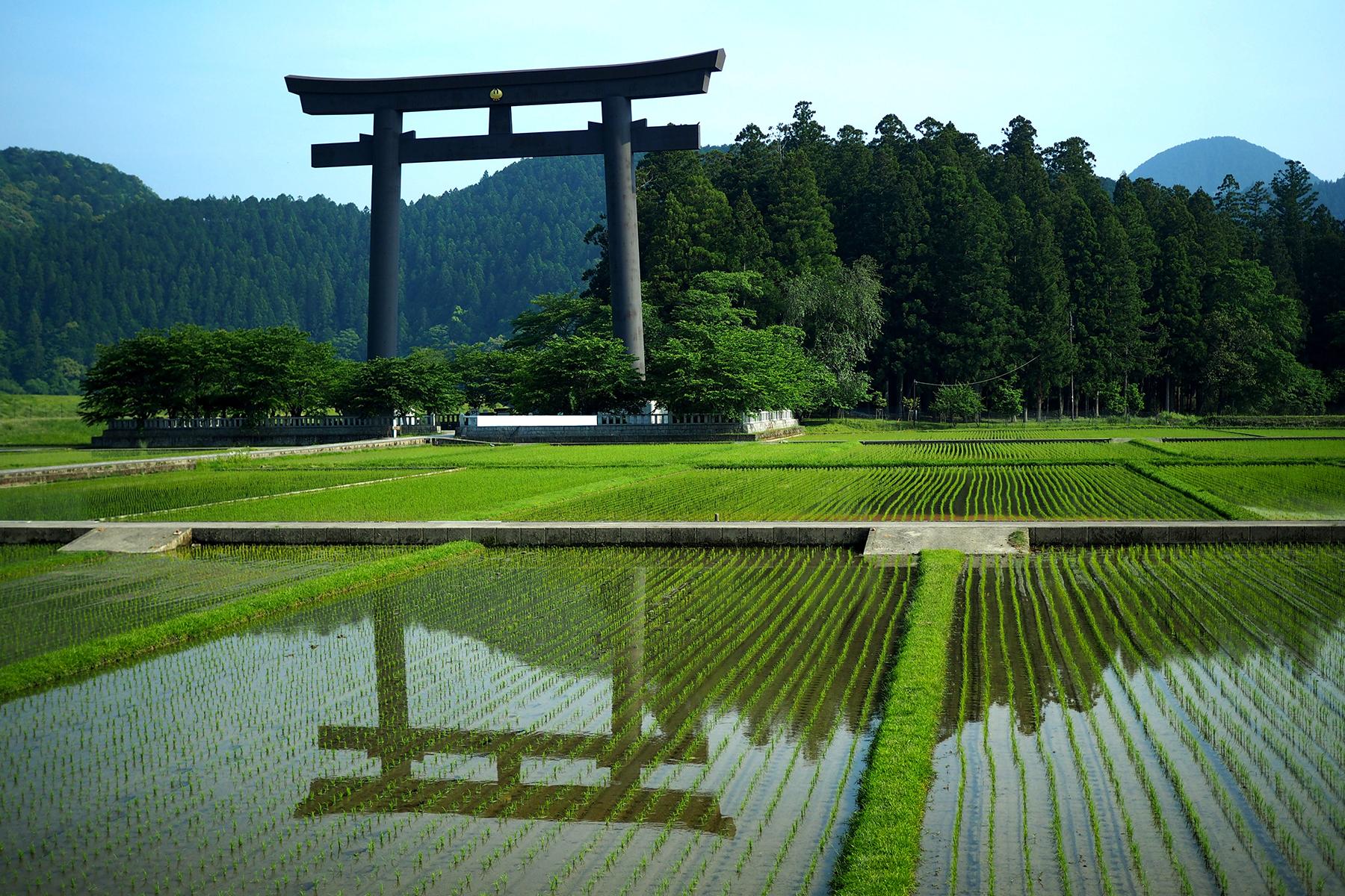 Why You Should Hike the Kumano Kodo Pilgrimage in Japan