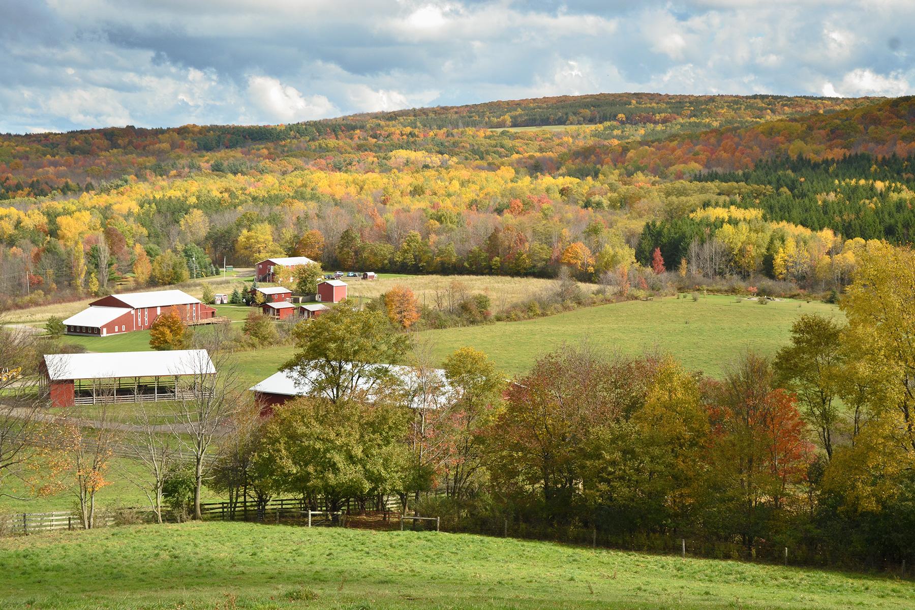 Travel Trips That Make a Difference for Good in the World