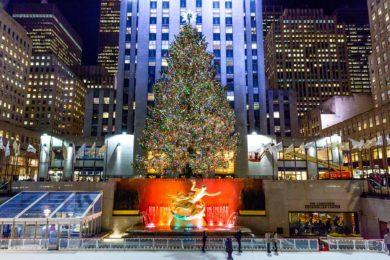 The Most Beautiful Christmas Trees Around the World