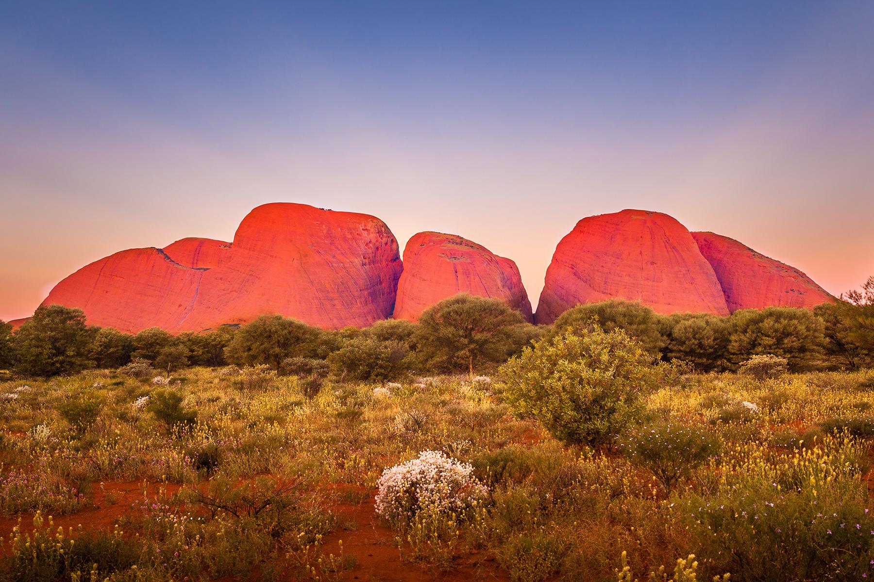 How to Visit Uluru-Kata Tjuta National Park in Australia