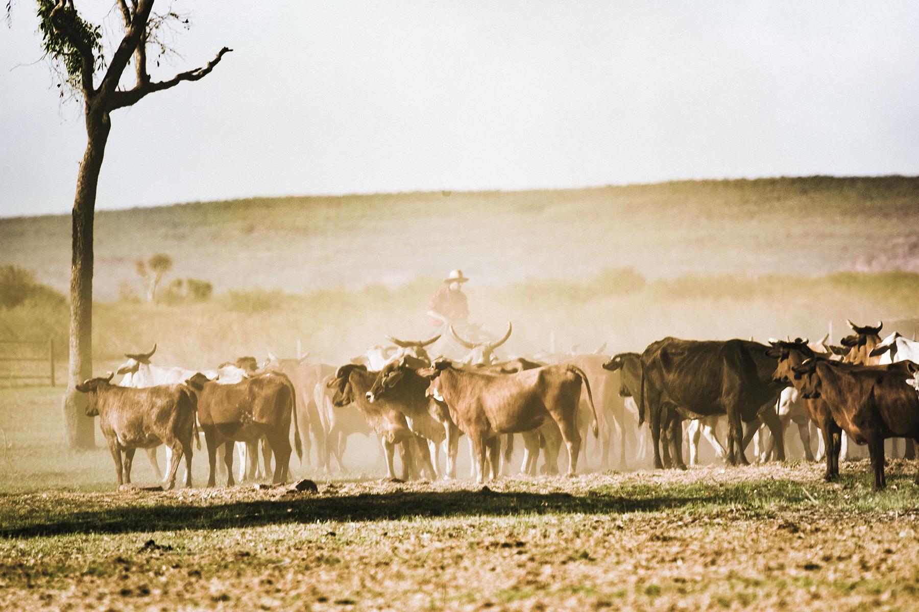 Australia’s Best Places to Stay in the Outback