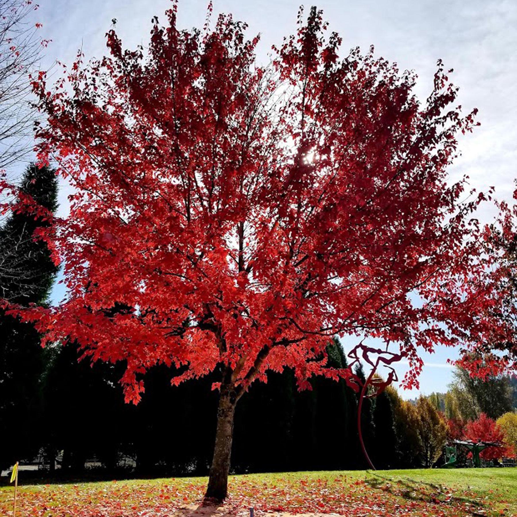 How to See Seattle's Wine Country: A 3-Day Itinerary for Woodinville ...