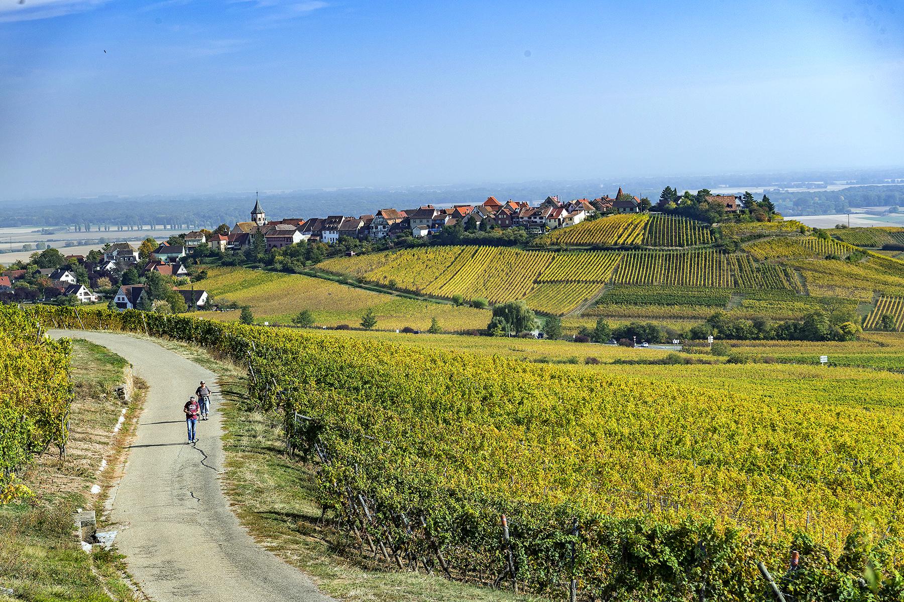 12 Magical Experiences on an Adventures by Disney Rhine River Cruise