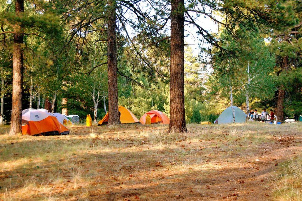 The Best Campgrounds at U.S. National Parks