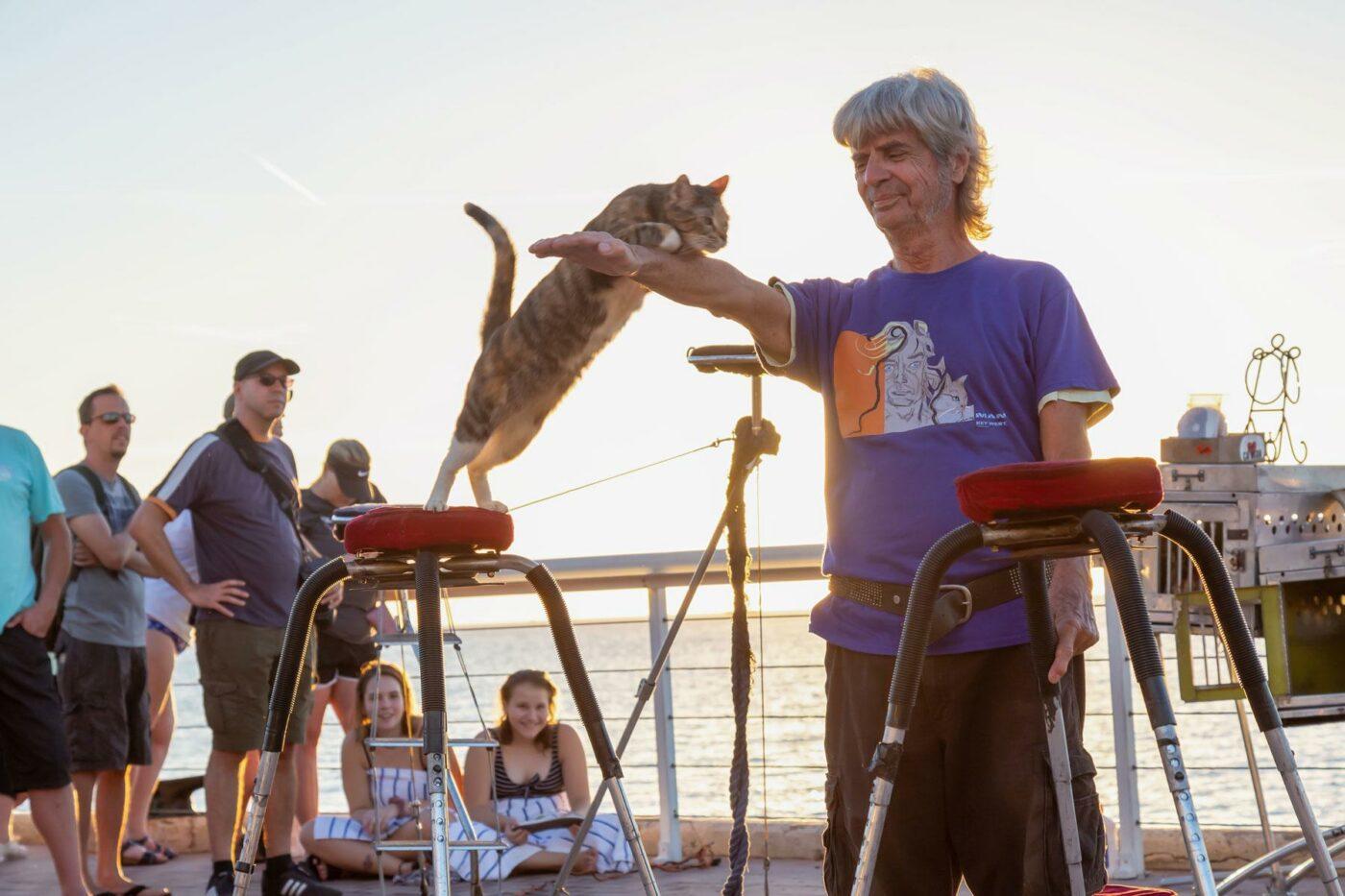 Dominique Lefort, the “Cat Man of Key West,” Is the Town's Best Tourist ...