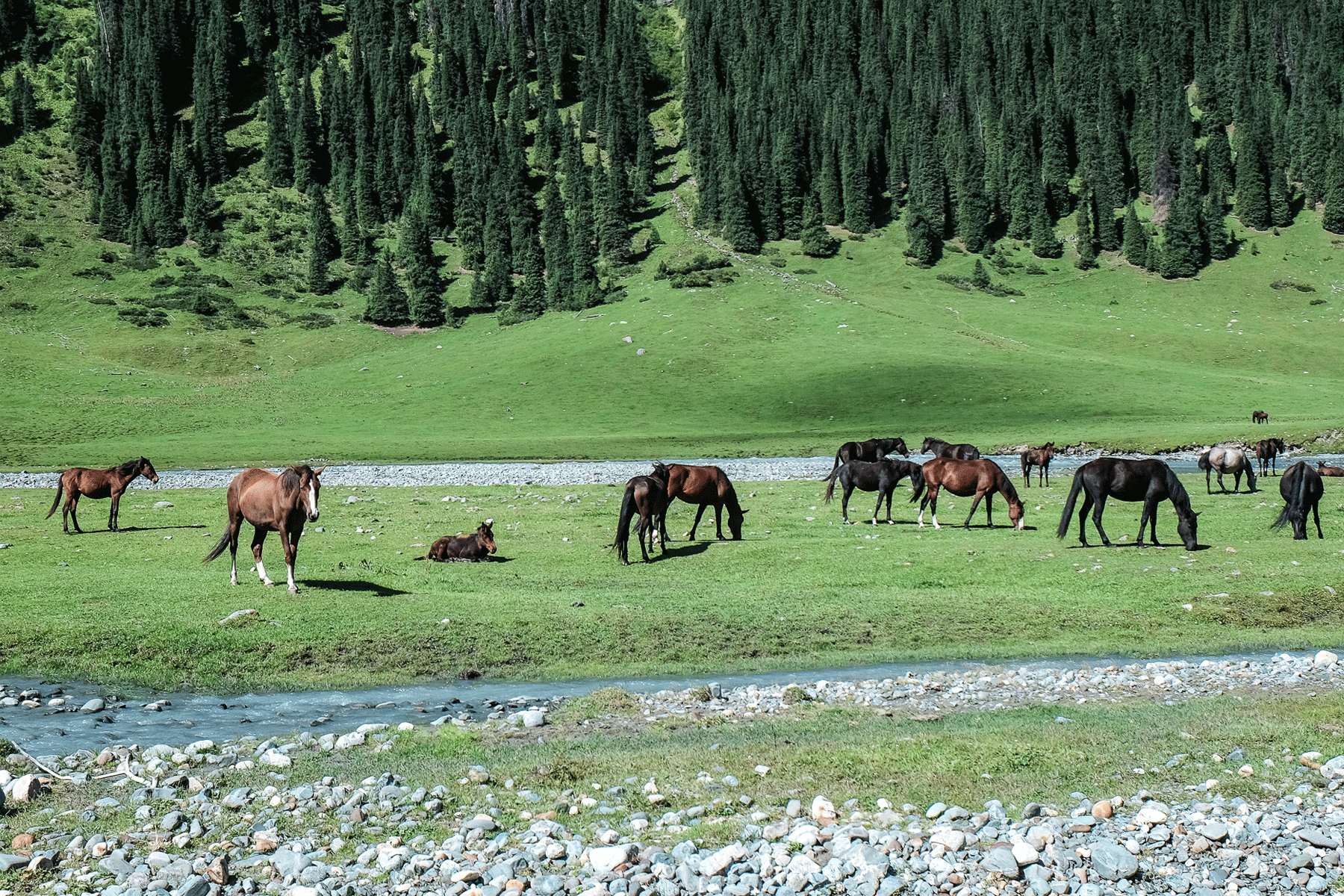 Incredible Photos of Trekking Through Altyn Arashan, Kyrgyzstan