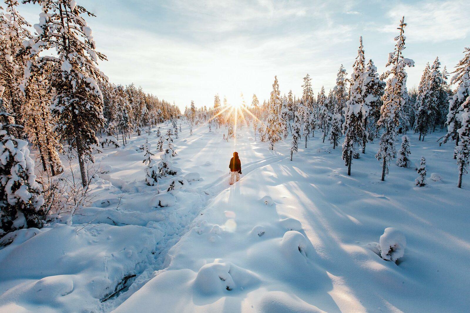 Best Winter Activities for Lapland, Sweden