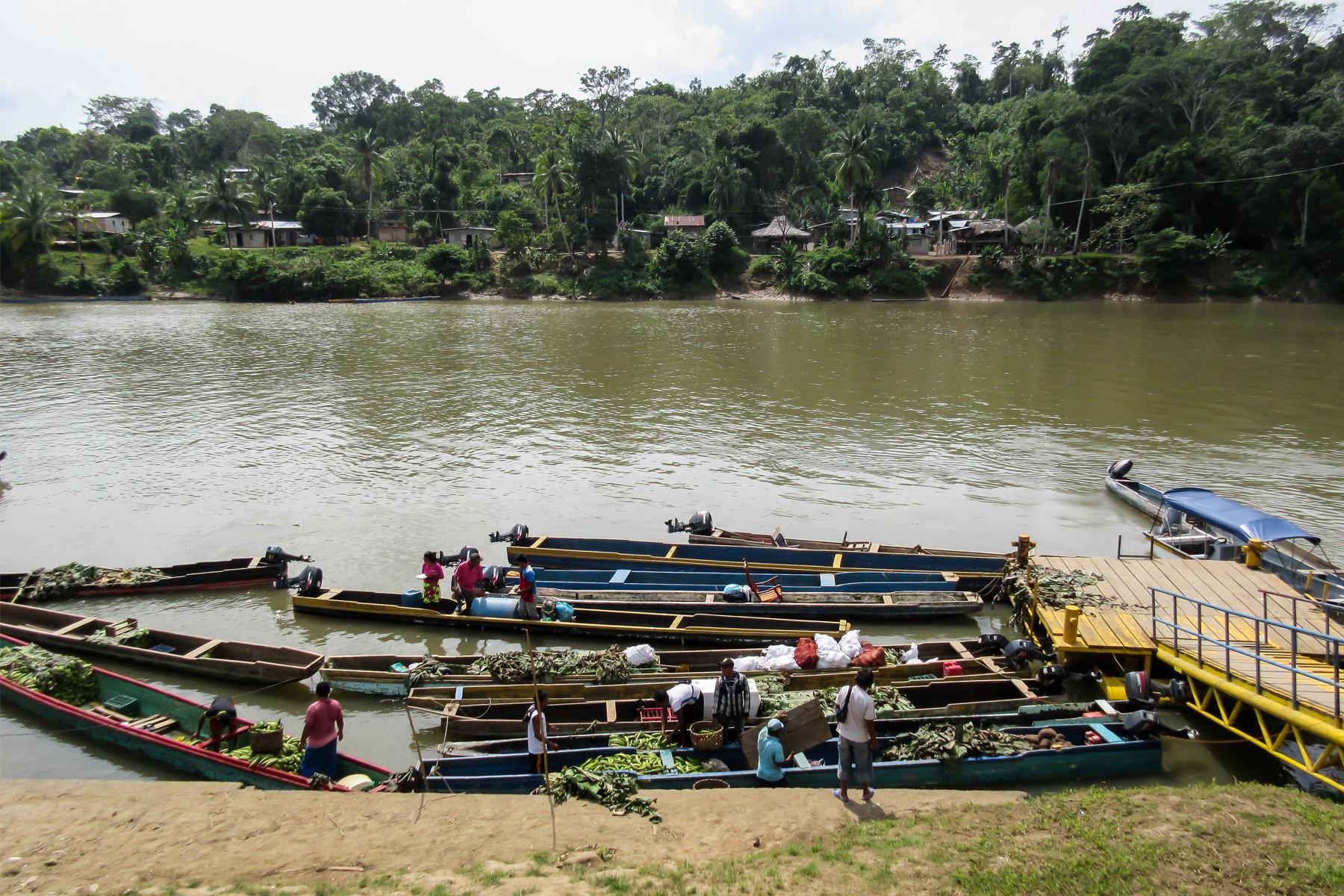 Why People Are Obessed with the Darien Gap, A Tiny Patch of Jungle in ...