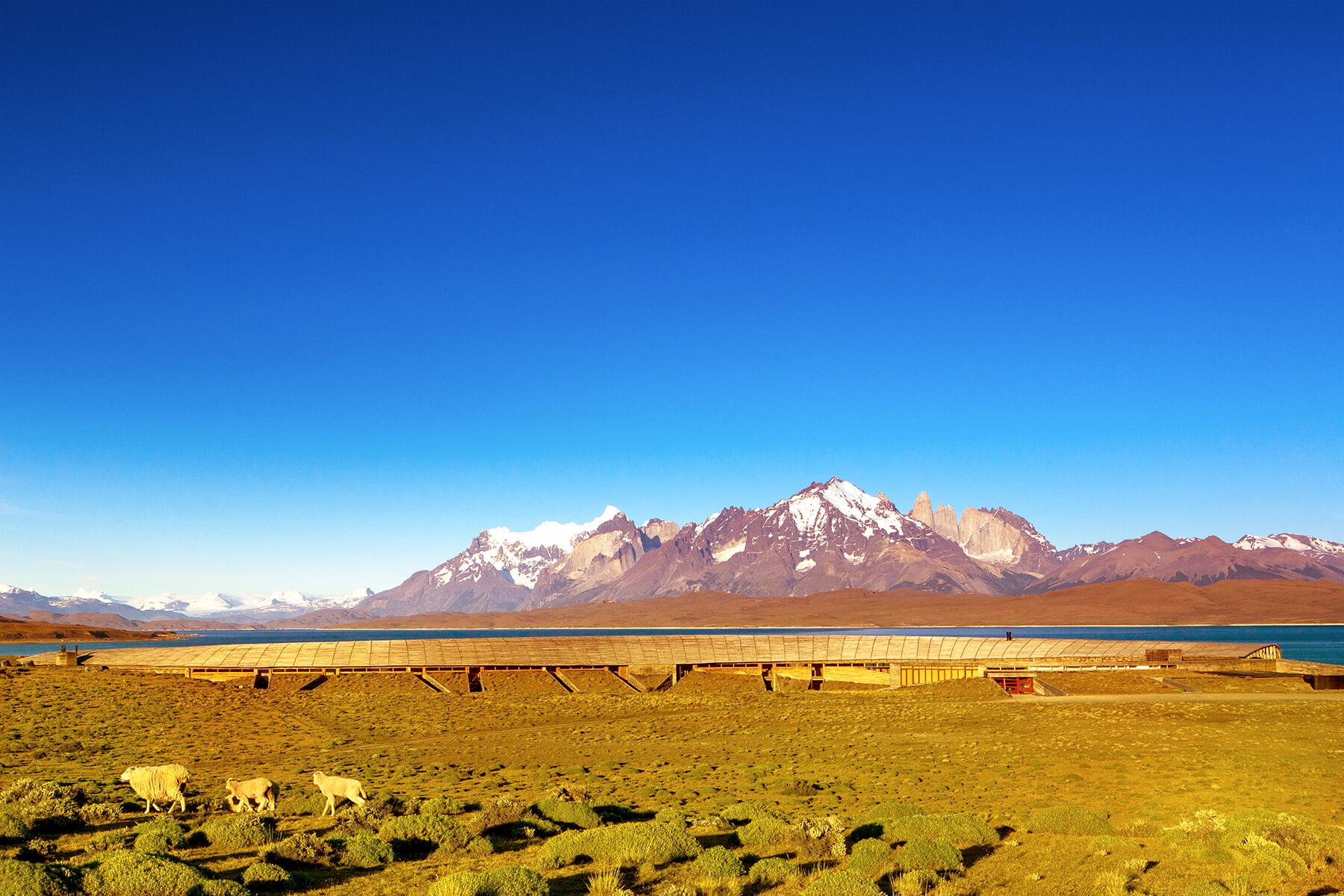 These 10 Hidden Hotels Are Practically Invisible and Blend Into Their ...