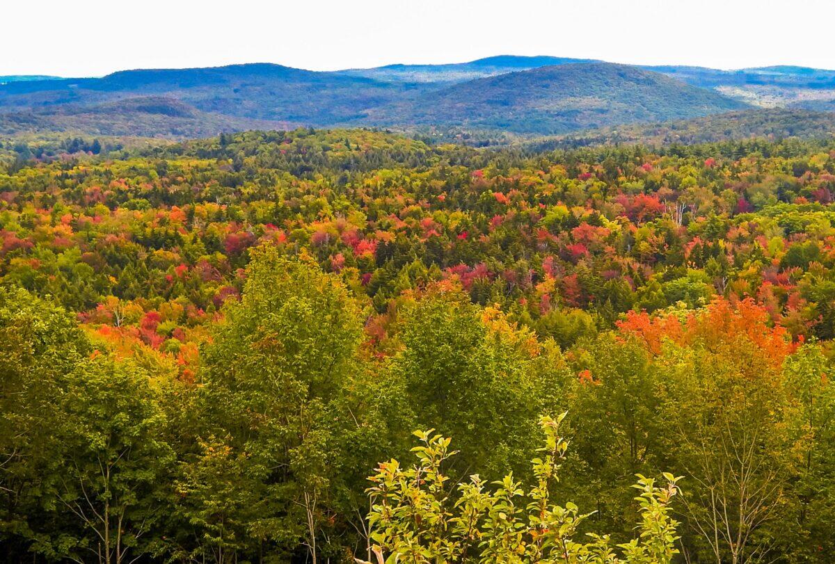 Where to See the Best Fall Leaves in the U.S.