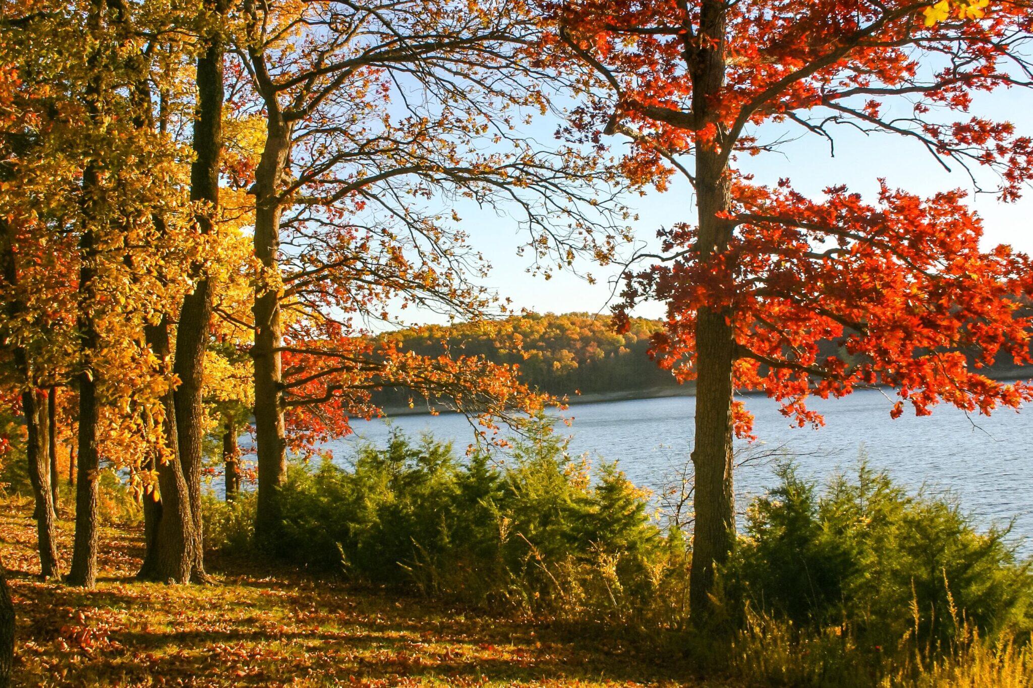 Where to See the Best Fall Leaves in the U.S.