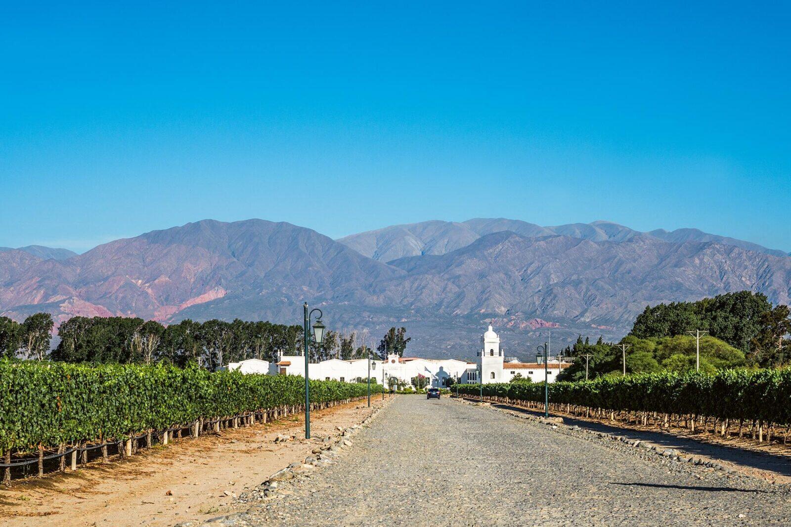 Reasons to Visit Salta, Argentina