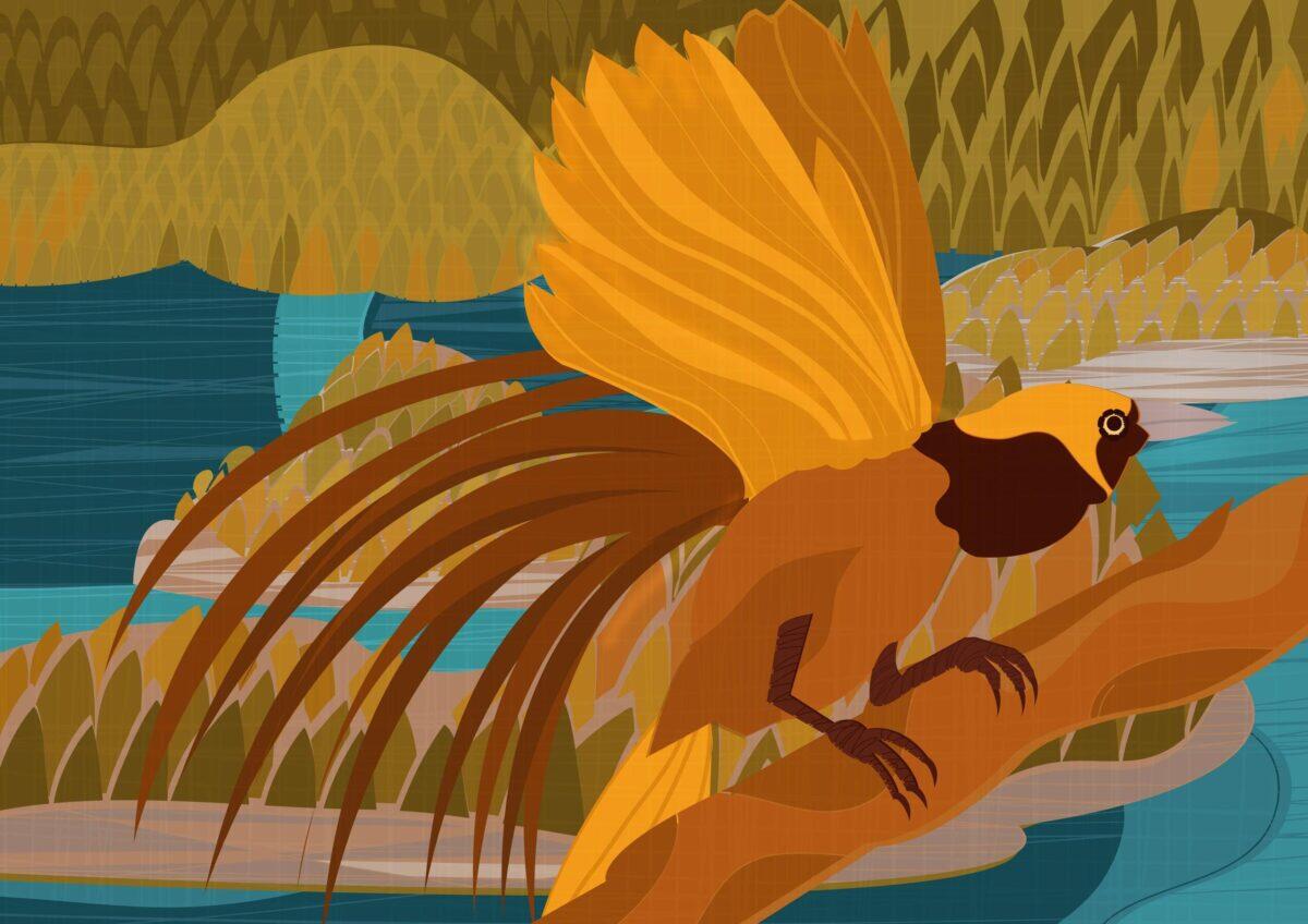 Asia_Raja Ampat – Fodors Travel Guide