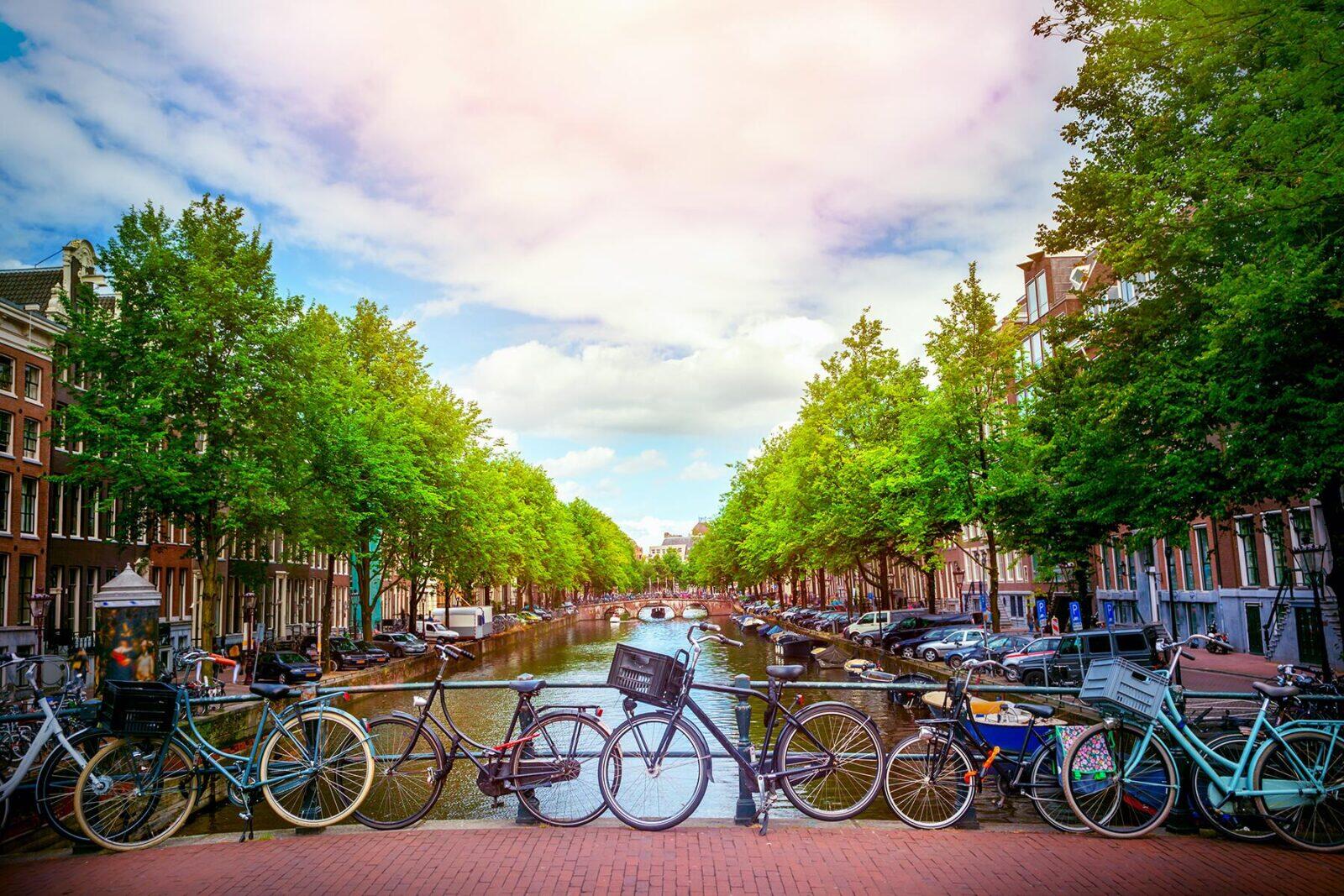 Best Ways to Experience Dutch Culture