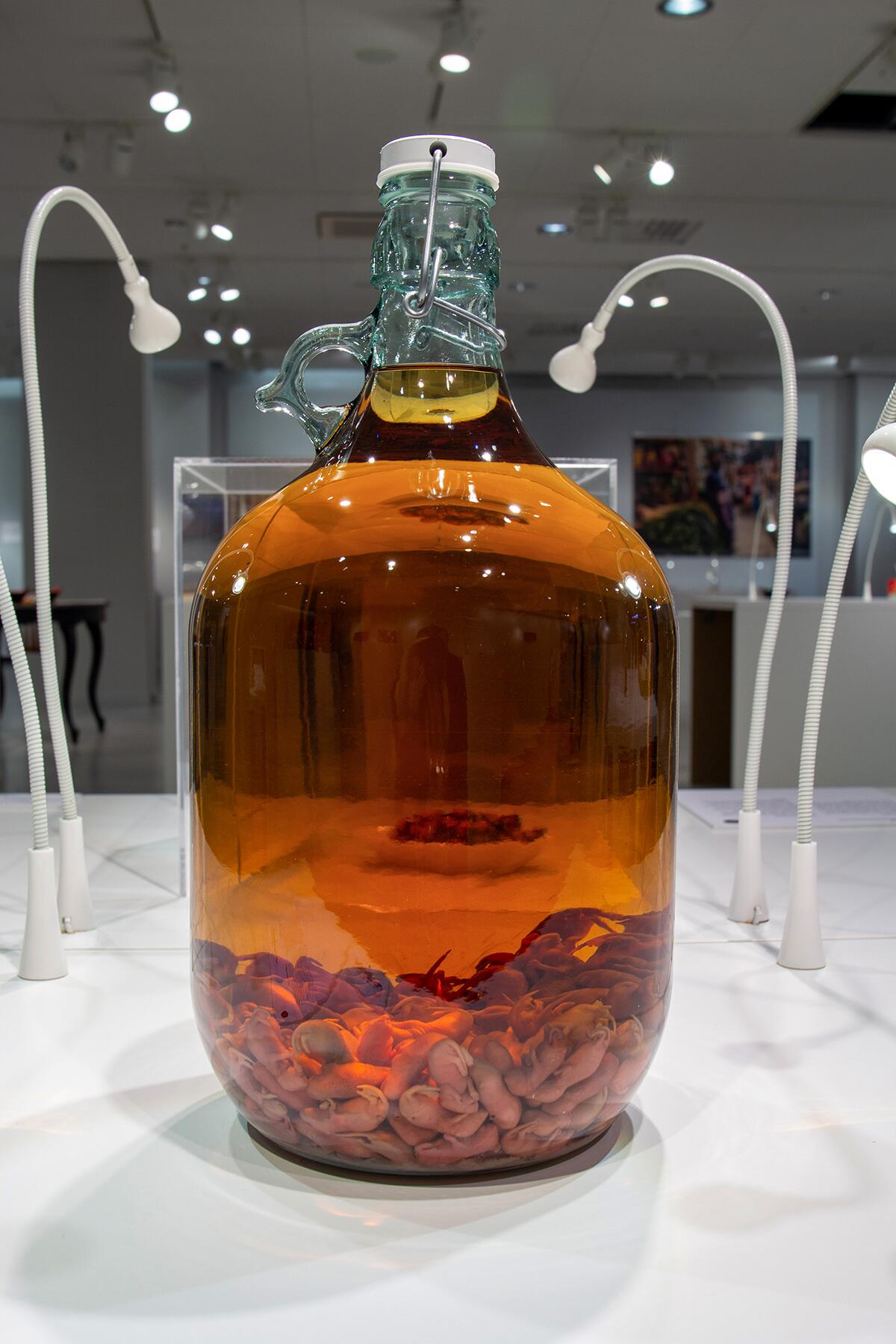 Weird and Disgusting Booze Around the World