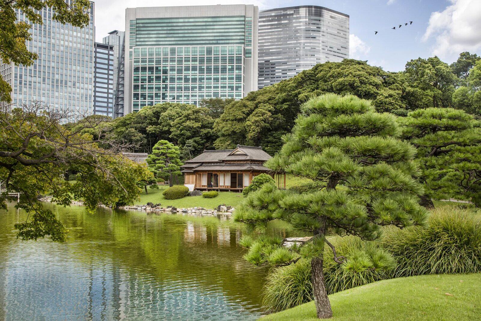 Unique and Interesting City Parks