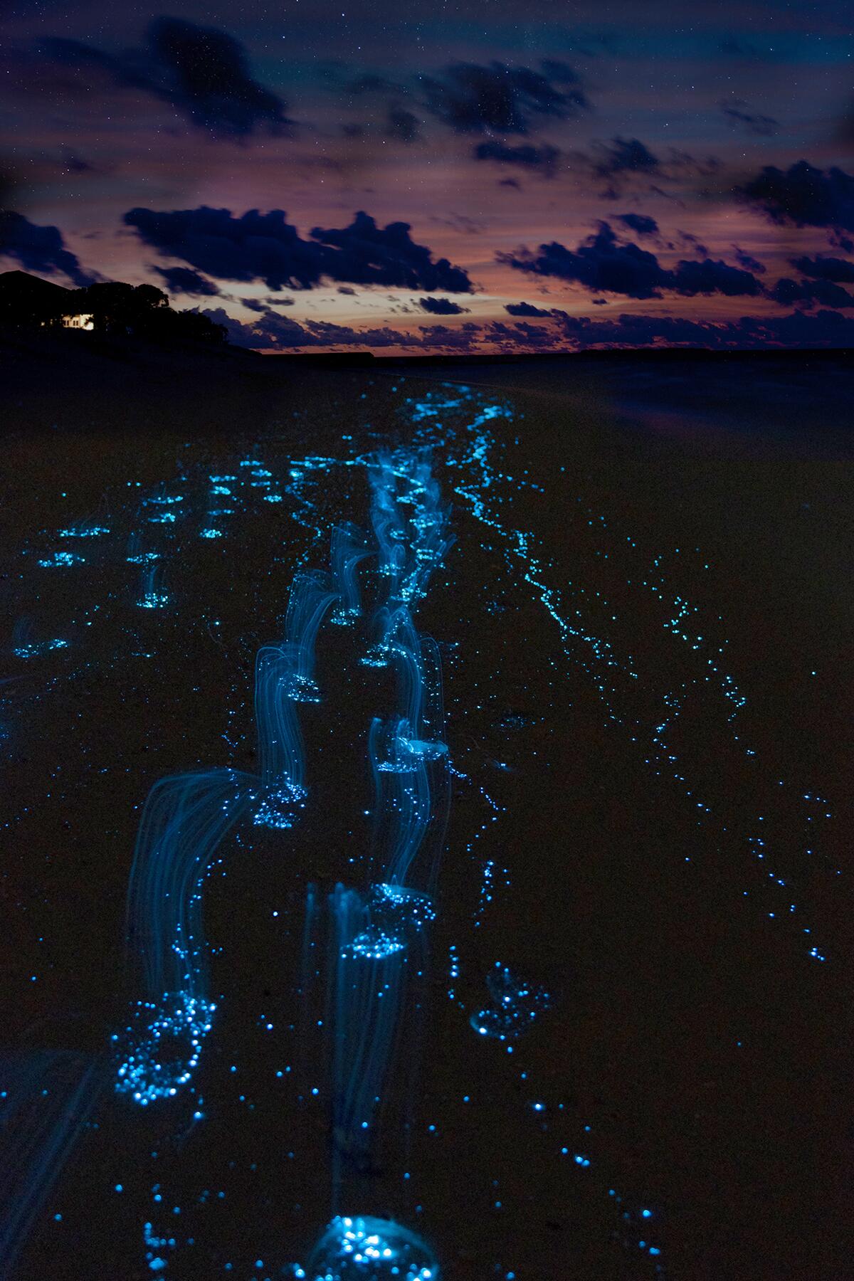 Best Natural Tourits Attractions in the World