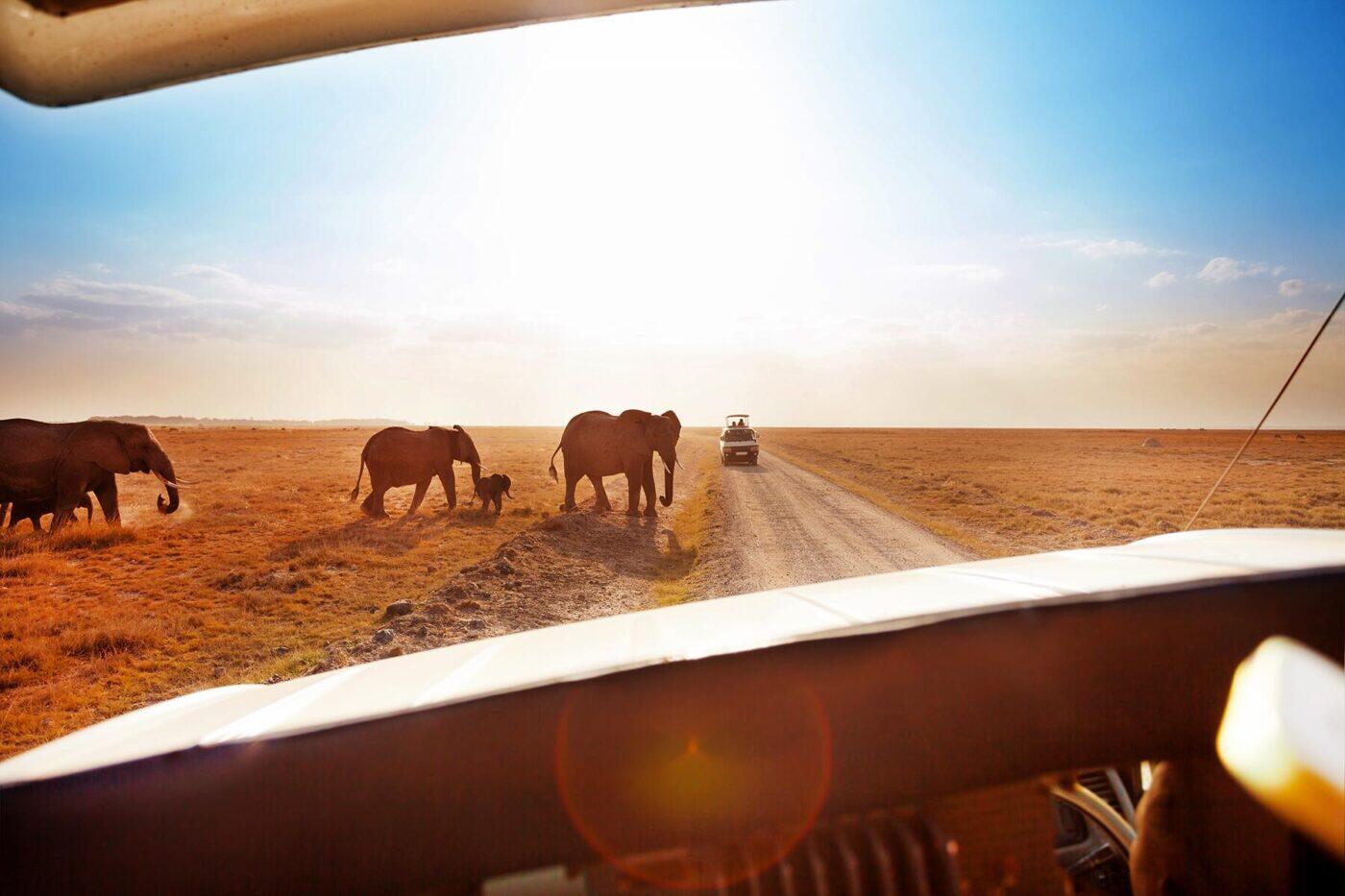 15 of the Most Extreme Safari Stories