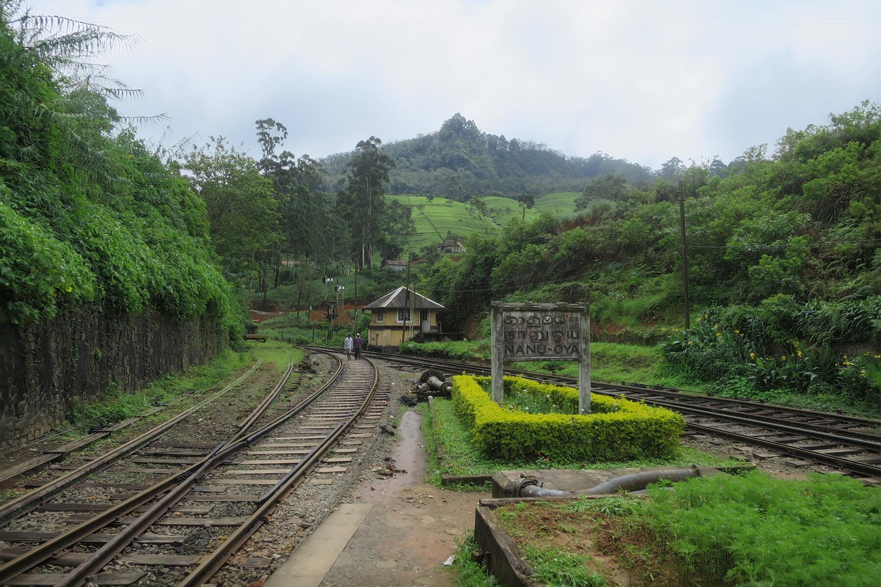 Is the Train Ride Through Sri Lanka the World's Most Beautiful?