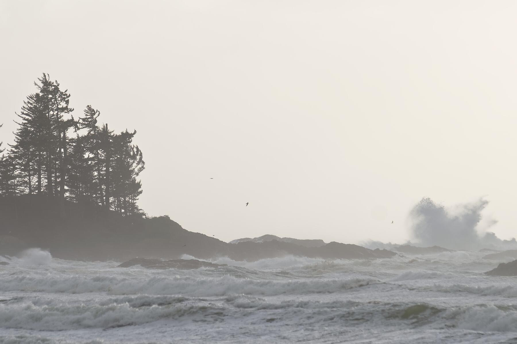 Stormwatching Is a Local Pastime on Vancouver Island