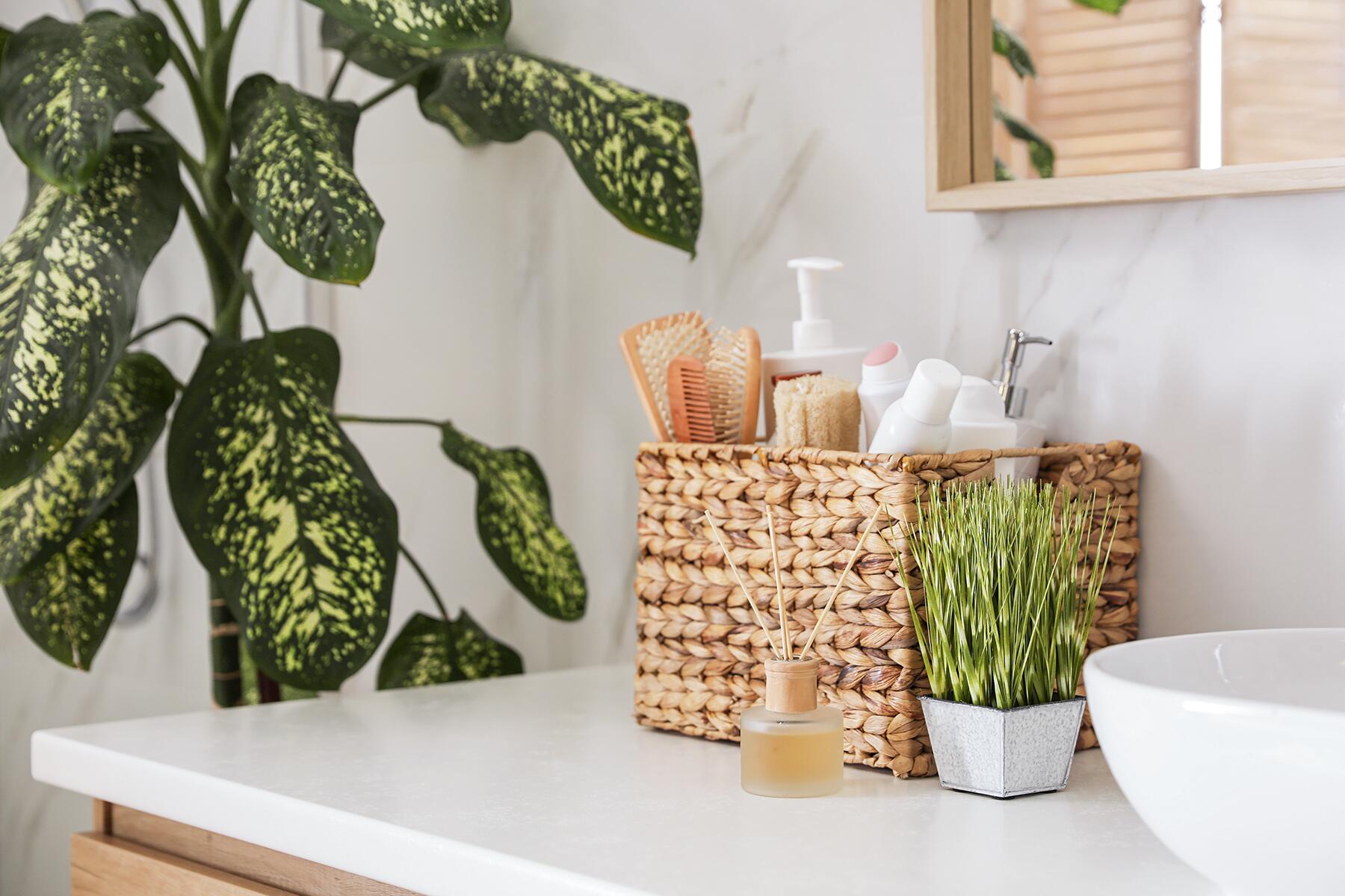 Make Quarantine More Bearable With These Essentials (No, Not Toilet ...