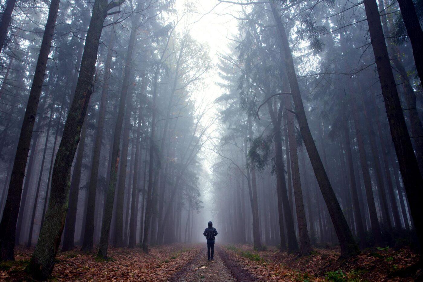 What Being Separated From the World Does to Your Wellbeing and How to ...