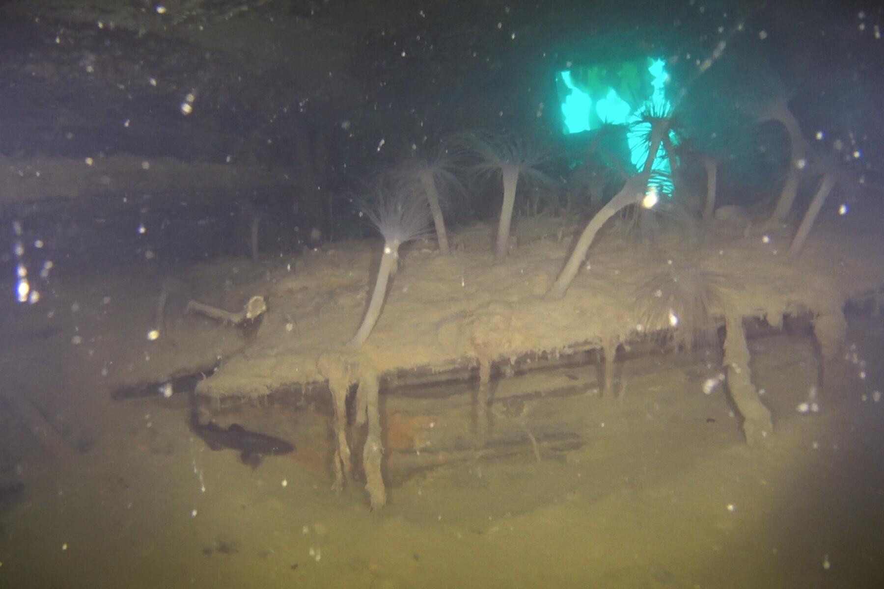 7 of History’s Most Mysterious Shipwrecks