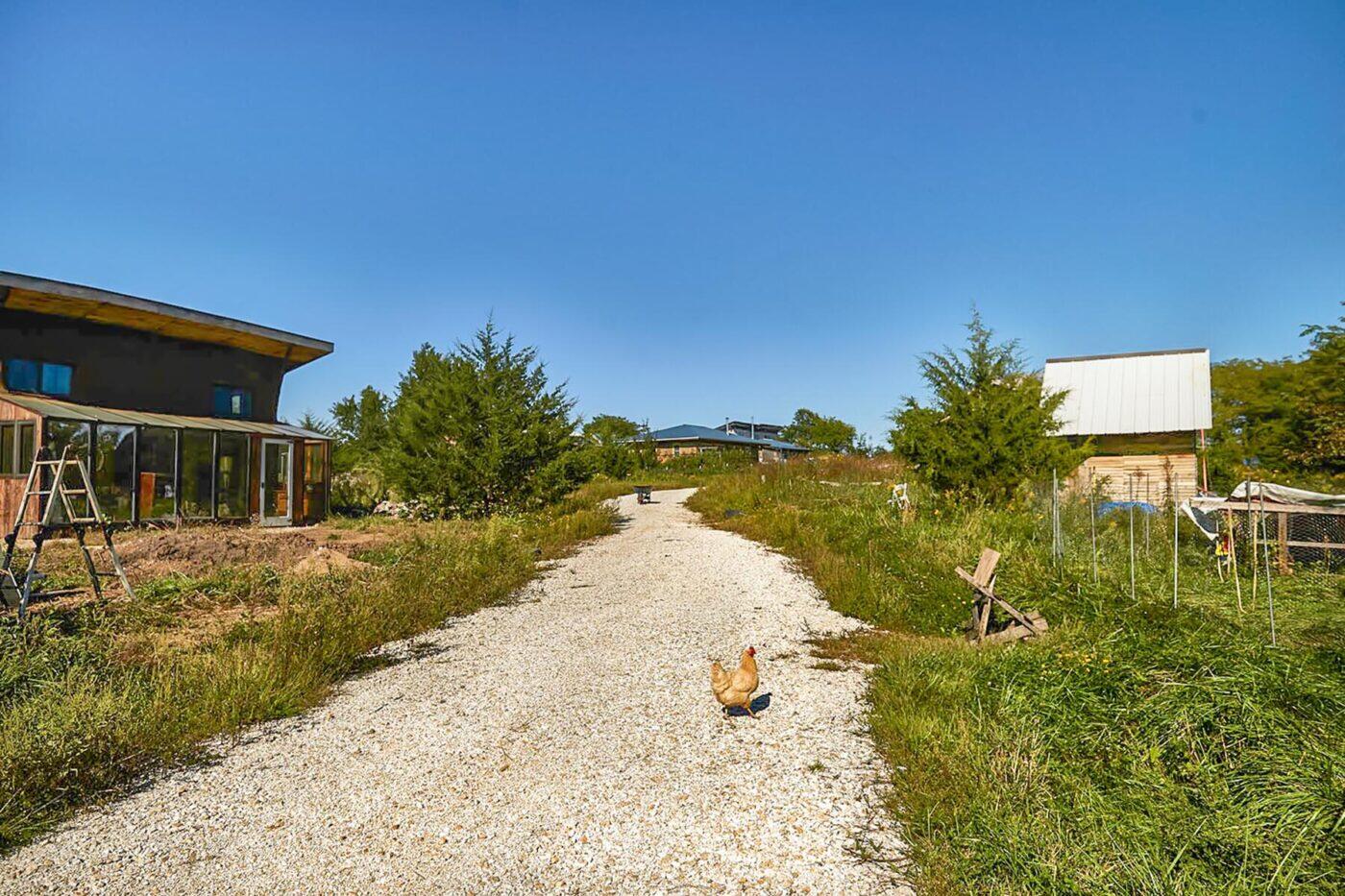 Friendly Isolated Communities Around the World