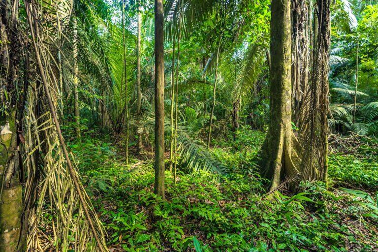 The 22 Most Extreme Places on the Planet Can’t Be Tamed