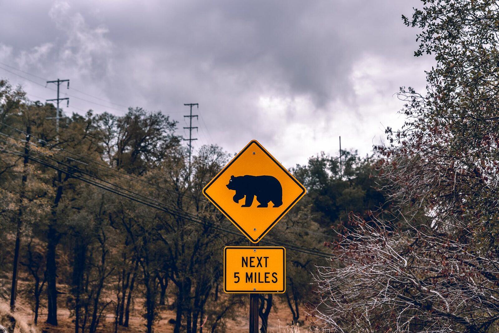 Travel Writers' Worst Vacations