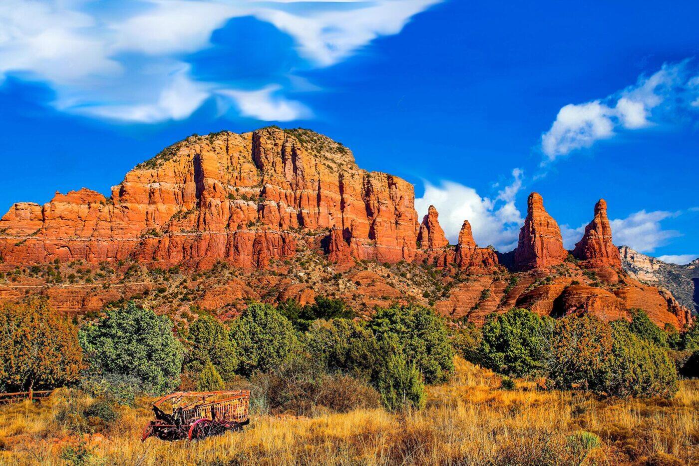 10 of the United States’ Most Beautiful Forests—Ranked