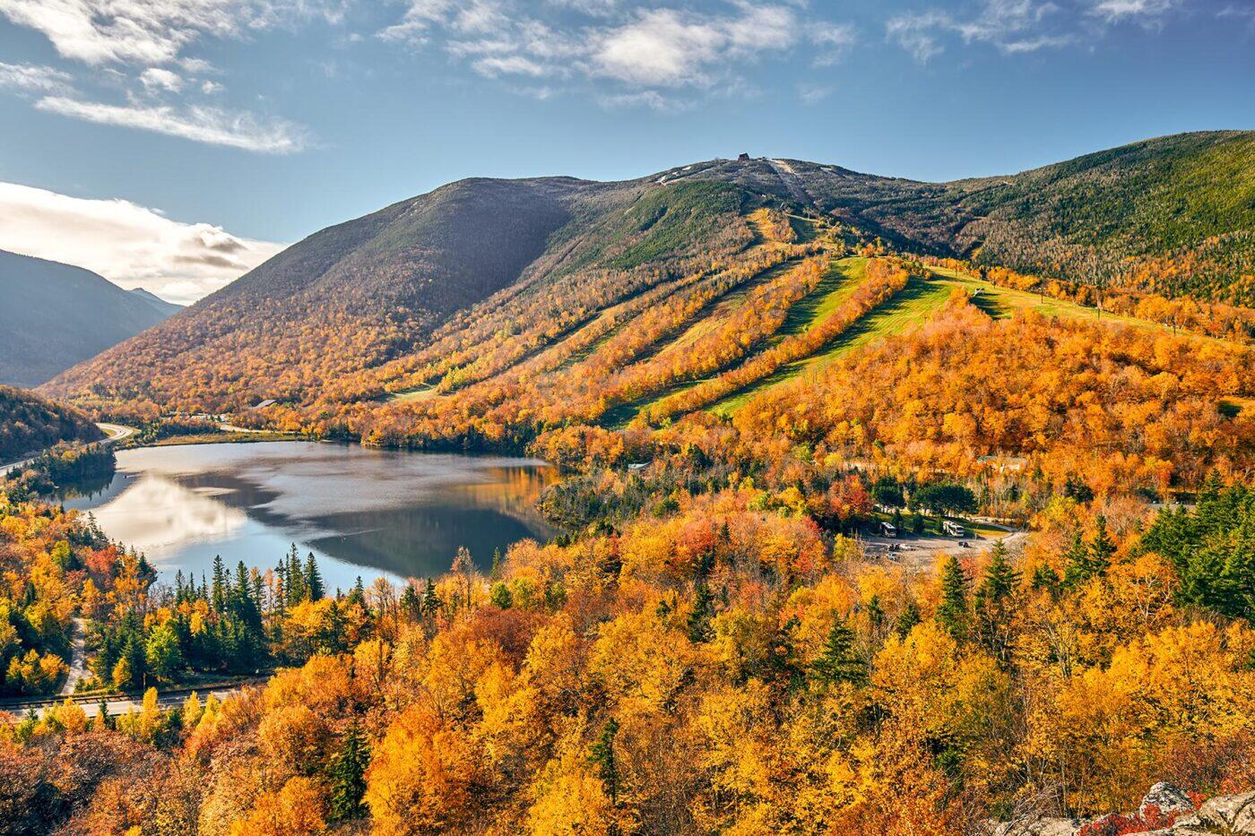 10 of the United States’ Most Beautiful Forests—Ranked