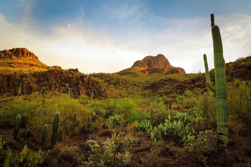 The Perfect 3-Day Weekend Road Trip Itinerary to Tucson, Arizona