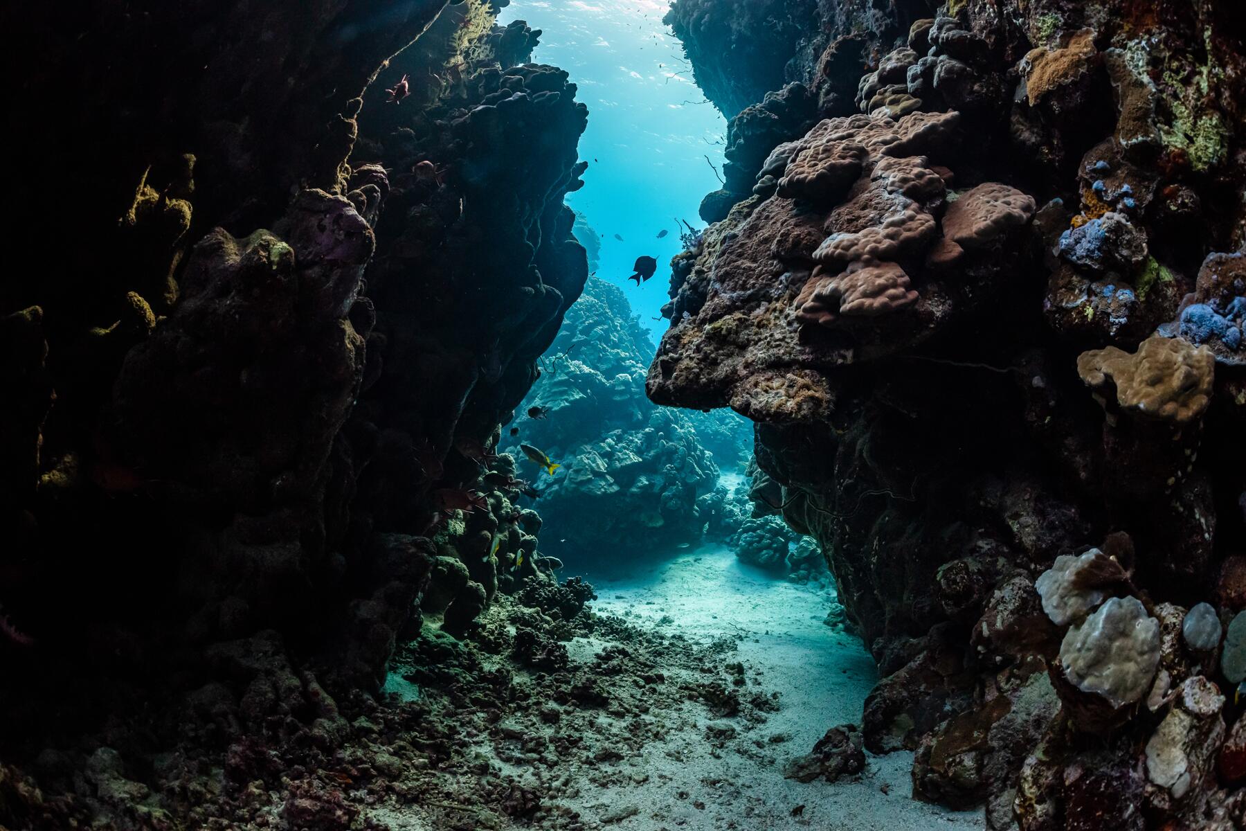 The Most Surprising Things We Still Don't Know About the Ocean