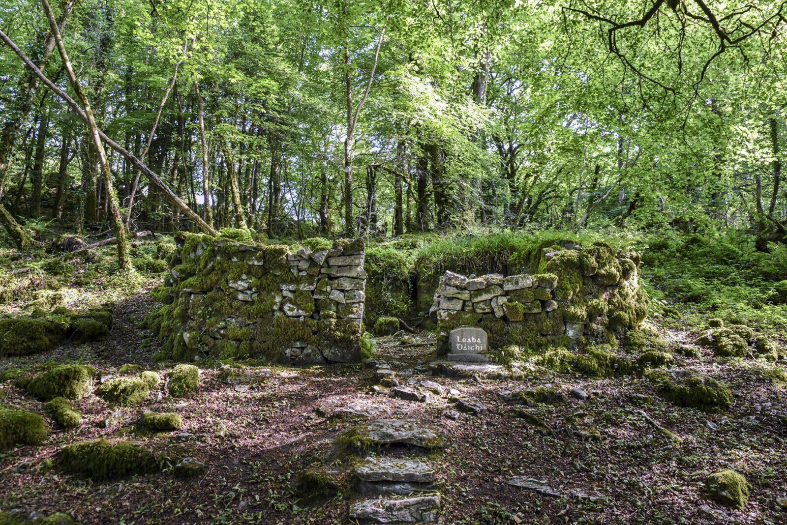 Sidhe Fairies Are Truly Part of Irish Mythology, Not Leprechauns