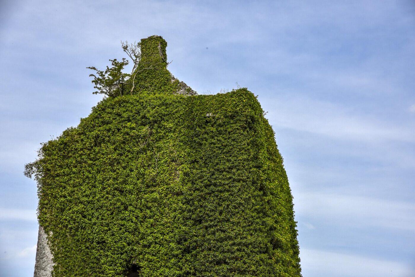 Sidhe Fairies Are Truly Part of Irish Mythology, Not Leprechauns